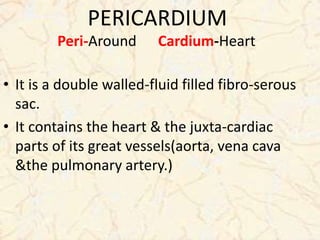 Pericardium | PPT