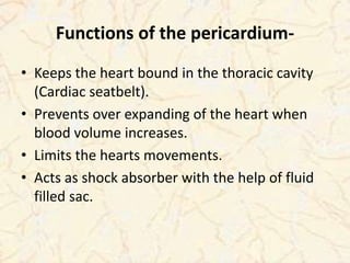 Pericardium | PPT
