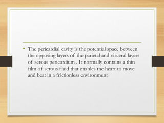 Pericardium | PPTX