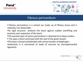 Pericardium | PDF