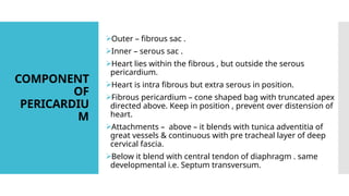 ANATOMY OF THE PERICARDIUM OF THE HEART | PPTX