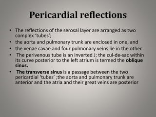 pericardium.pptx