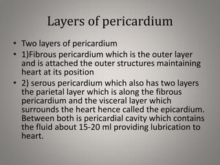 pericardium.pptx