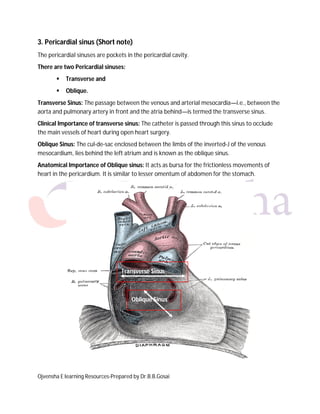 Transverse Sinus Heart