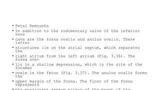 pericardium and heart and great vessels.pptx