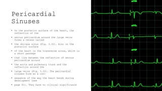 pericardium and heart and great vessels.pptx