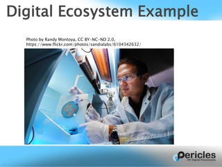 PERICLES Building Digital Ecosystem Models - ‘Eye of the Storm ...