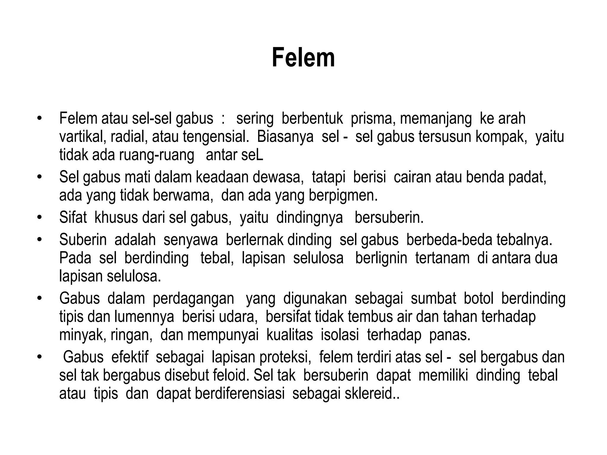 power point materi jaringan periderm pada tumbuhan | PPTX