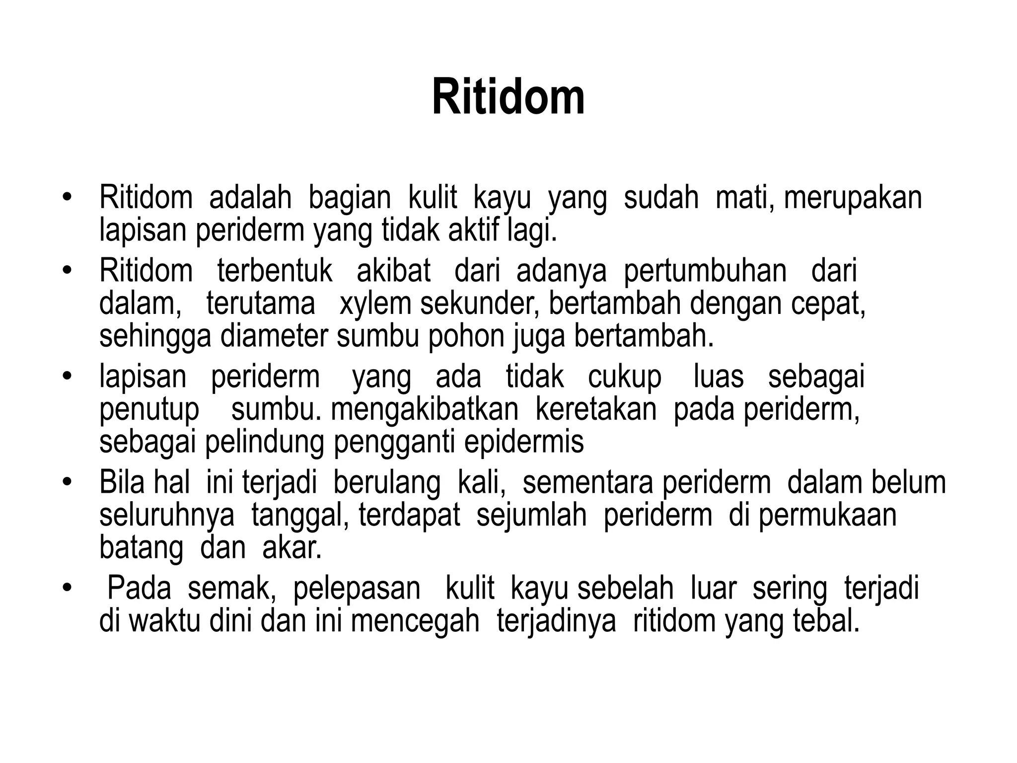 power point materi jaringan periderm pada tumbuhan | PPTX