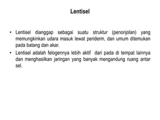 power point materi jaringan periderm pada tumbuhan | PPTX