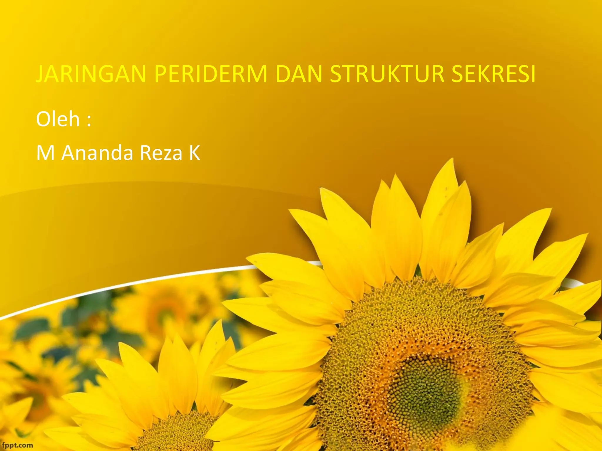 Periderm dan struktur sekresi | PDF