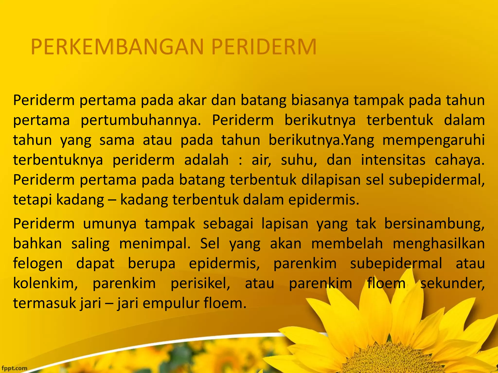 Periderm dan struktur sekresi | PDF
