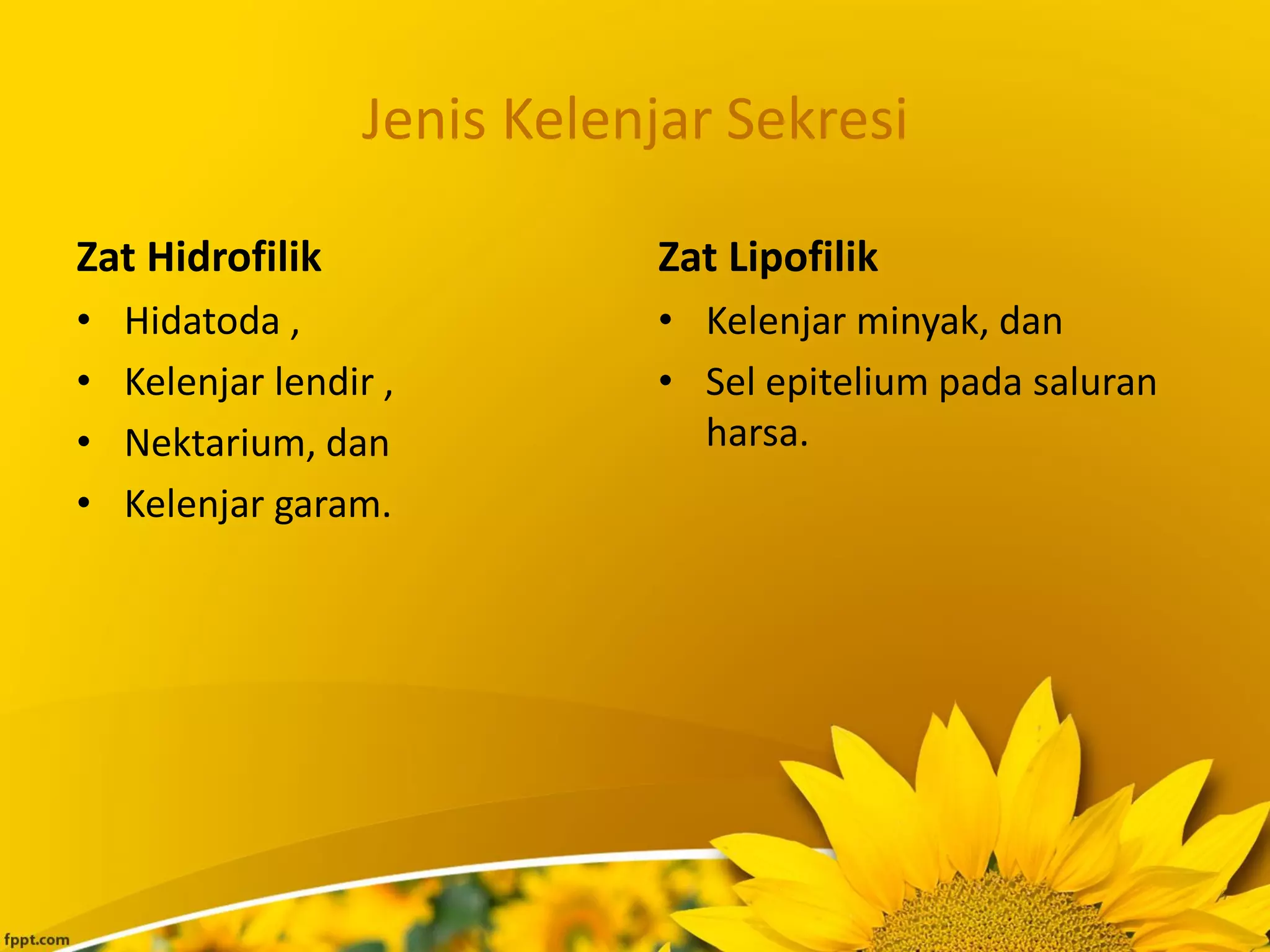 Periderm dan struktur sekresi | PDF