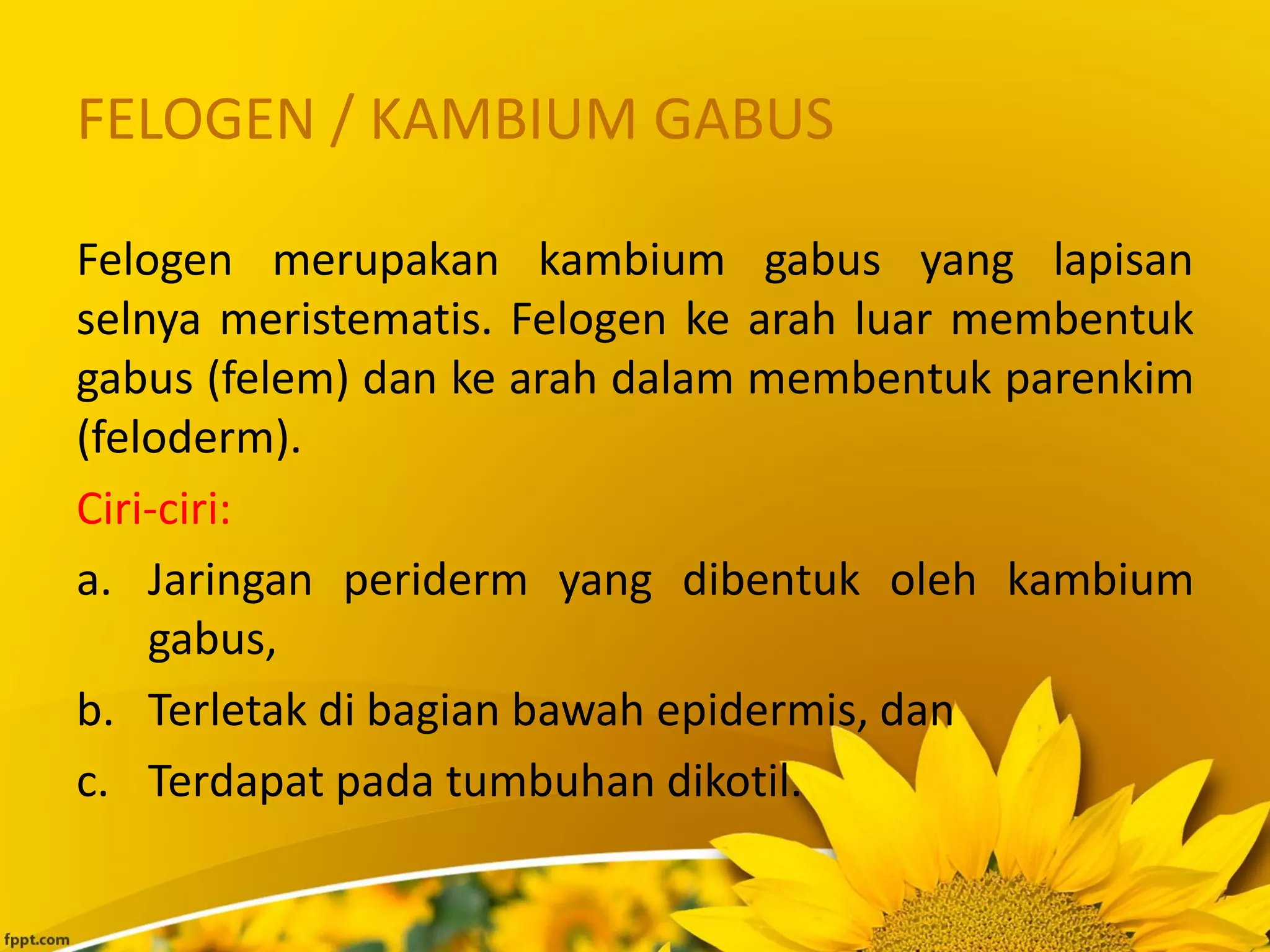 Periderm dan struktur sekresi | PDF