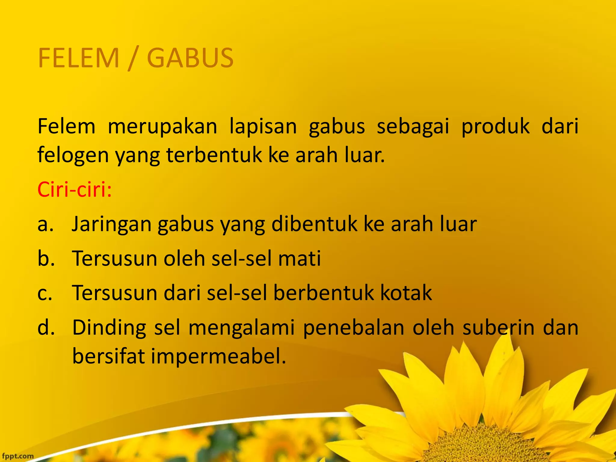 Periderm dan struktur sekresi | PDF