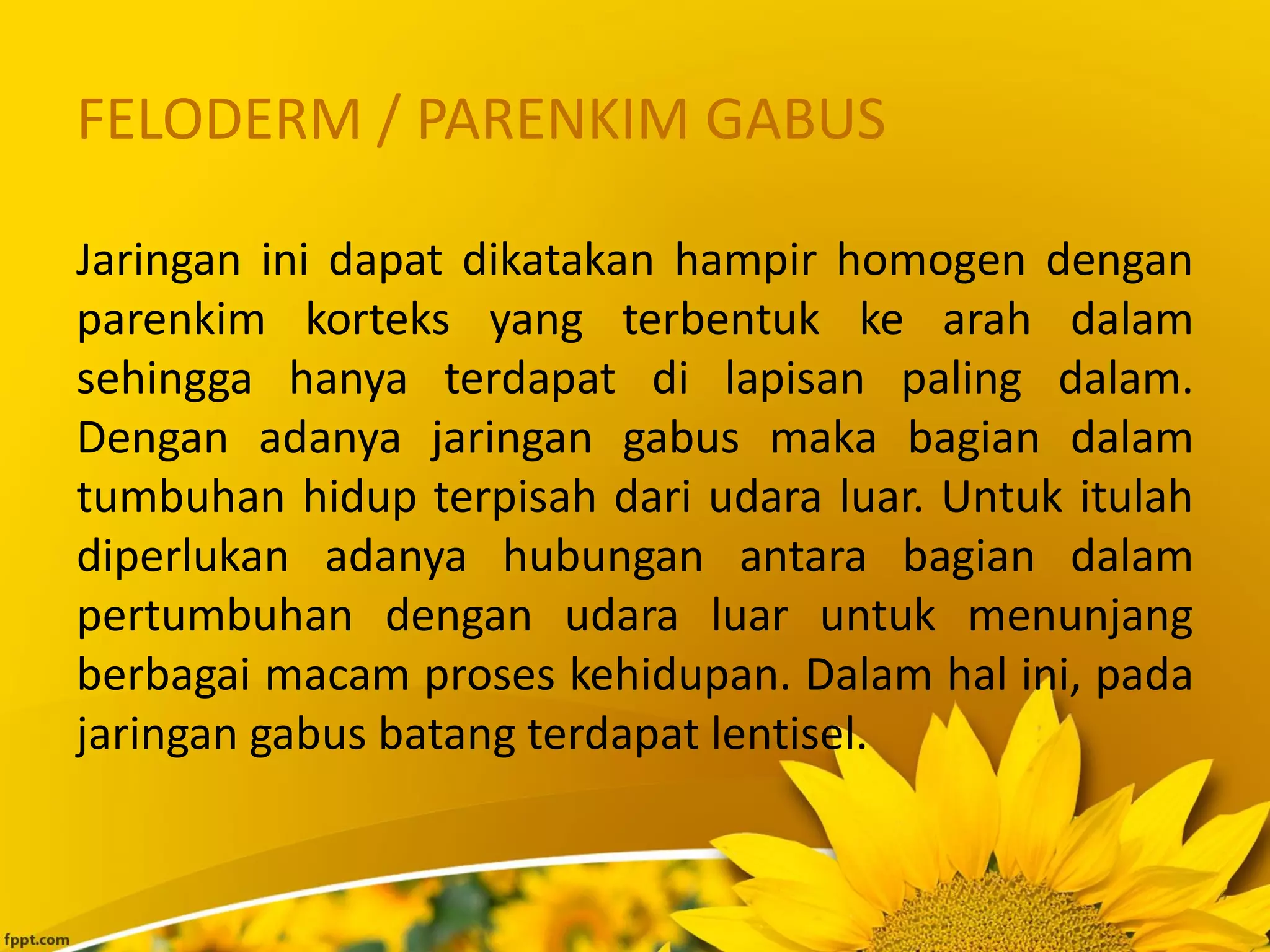 Periderm dan struktur sekresi | PDF