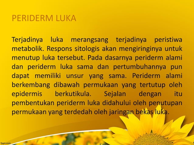 Periderm dan struktur sekresi | PDF