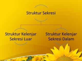 Periderm dan struktur sekresi | PDF