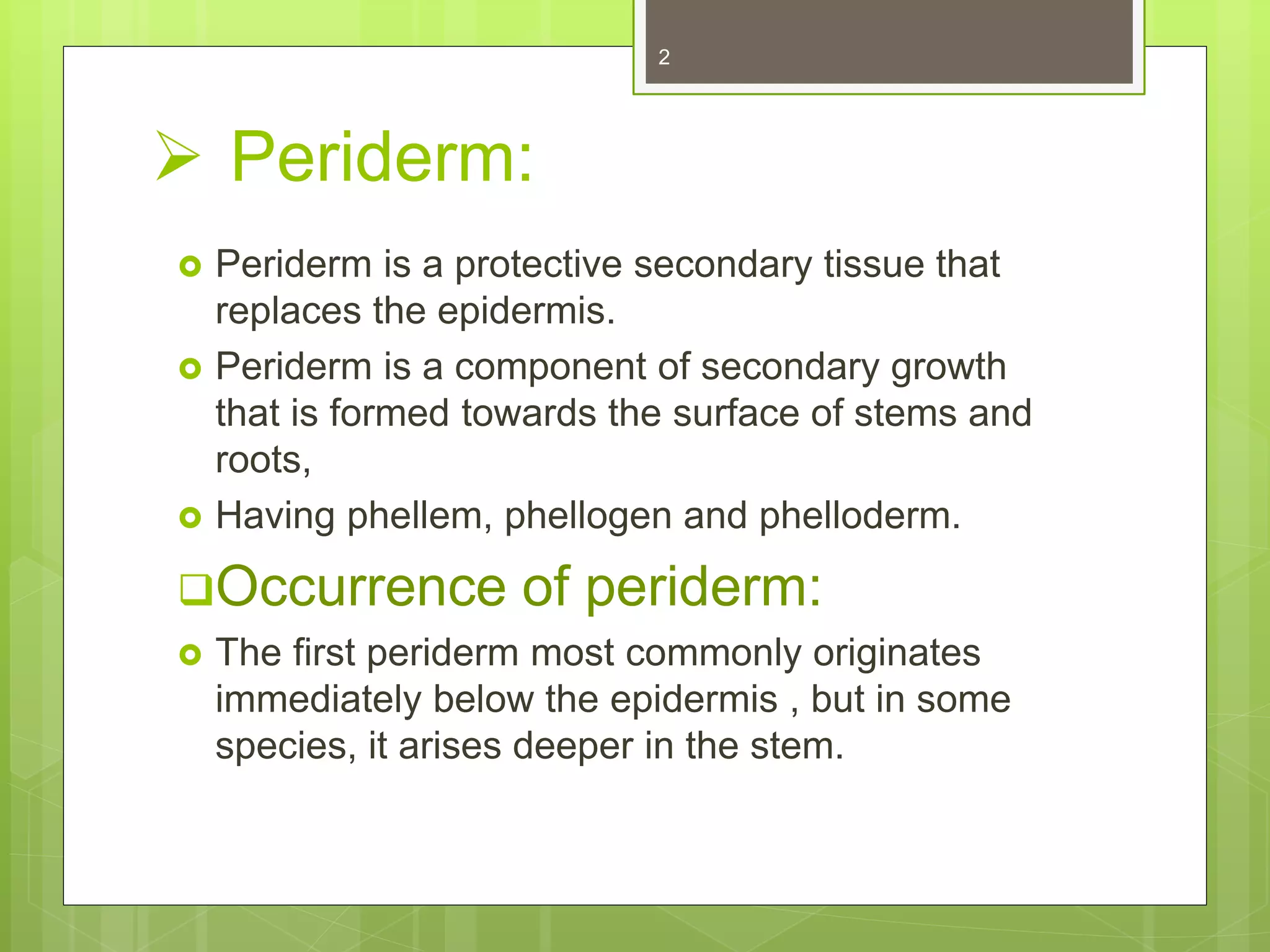 periderm, new 2023.pptx