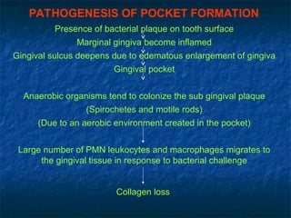 Periodontology __periodontal pocket ____ | PPT