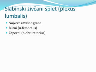 Periferni nervni sistem | PPTX