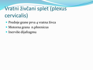 Periferni nervni sistem | PPT