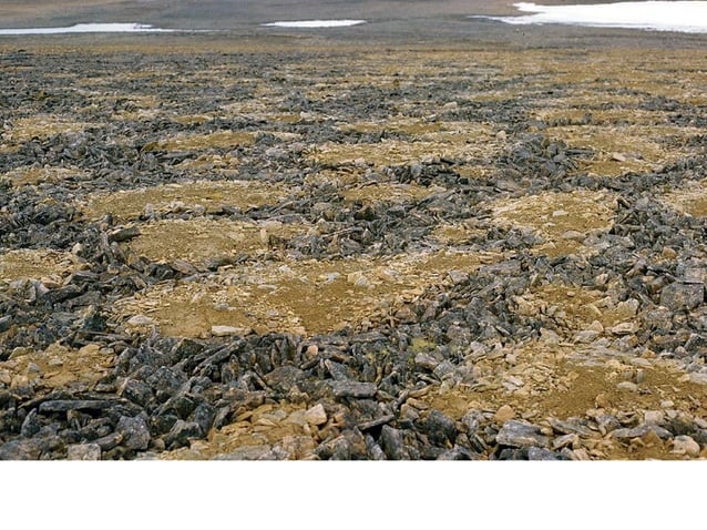 Periglacial processes and features | PPT