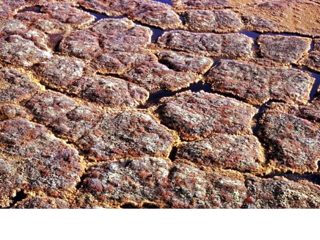 Periglacial processes and features | PPT