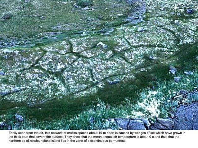 Periglacial processes and features | PPT