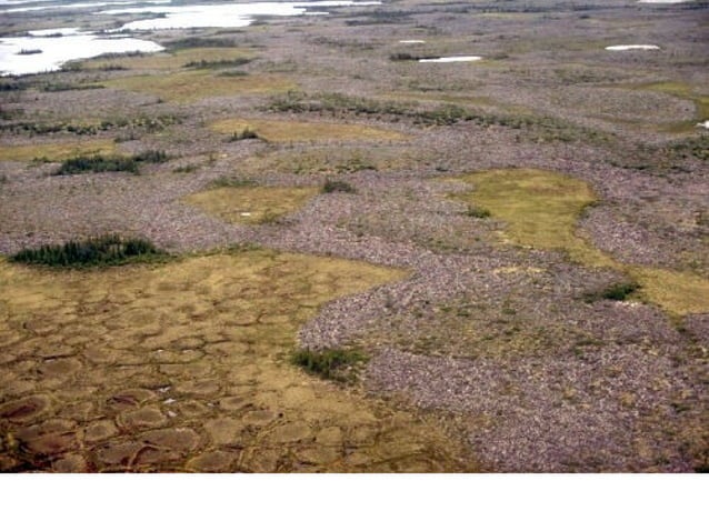 Periglacial processes and features | PPT