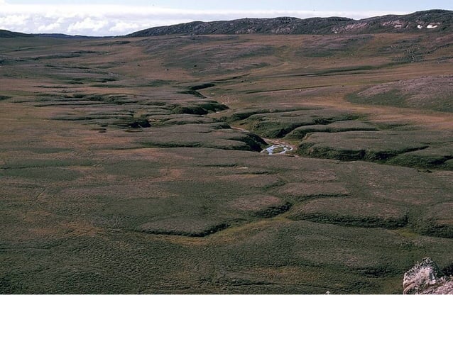 Periglacial processes and features | PPT