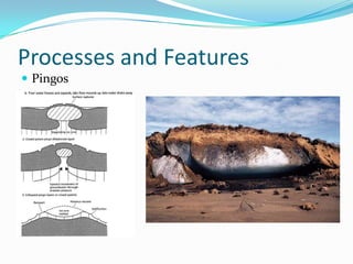 Periglaciation | PPTX