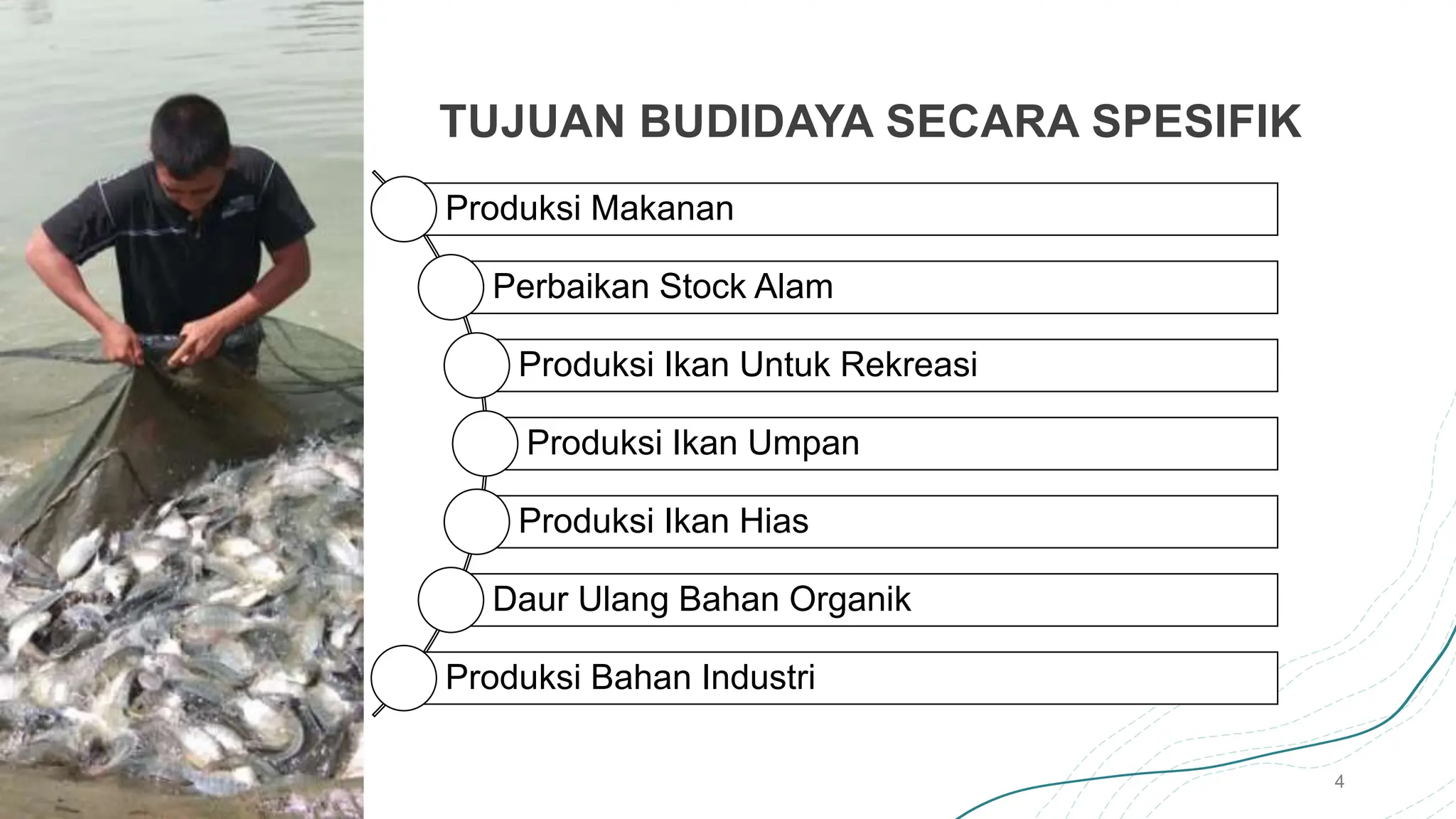 Perikanan Budidaya.pptx
