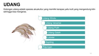 Perikanan Budidaya.pptx