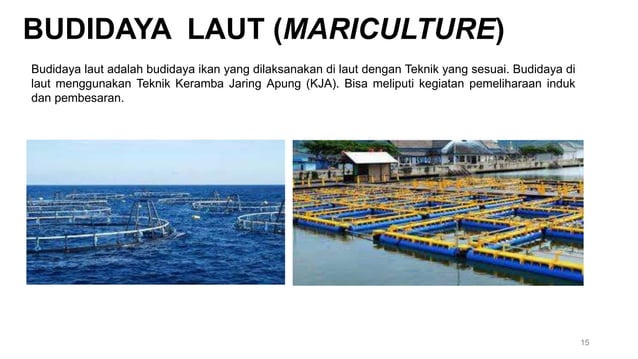 Perikanan Budidaya.pptx