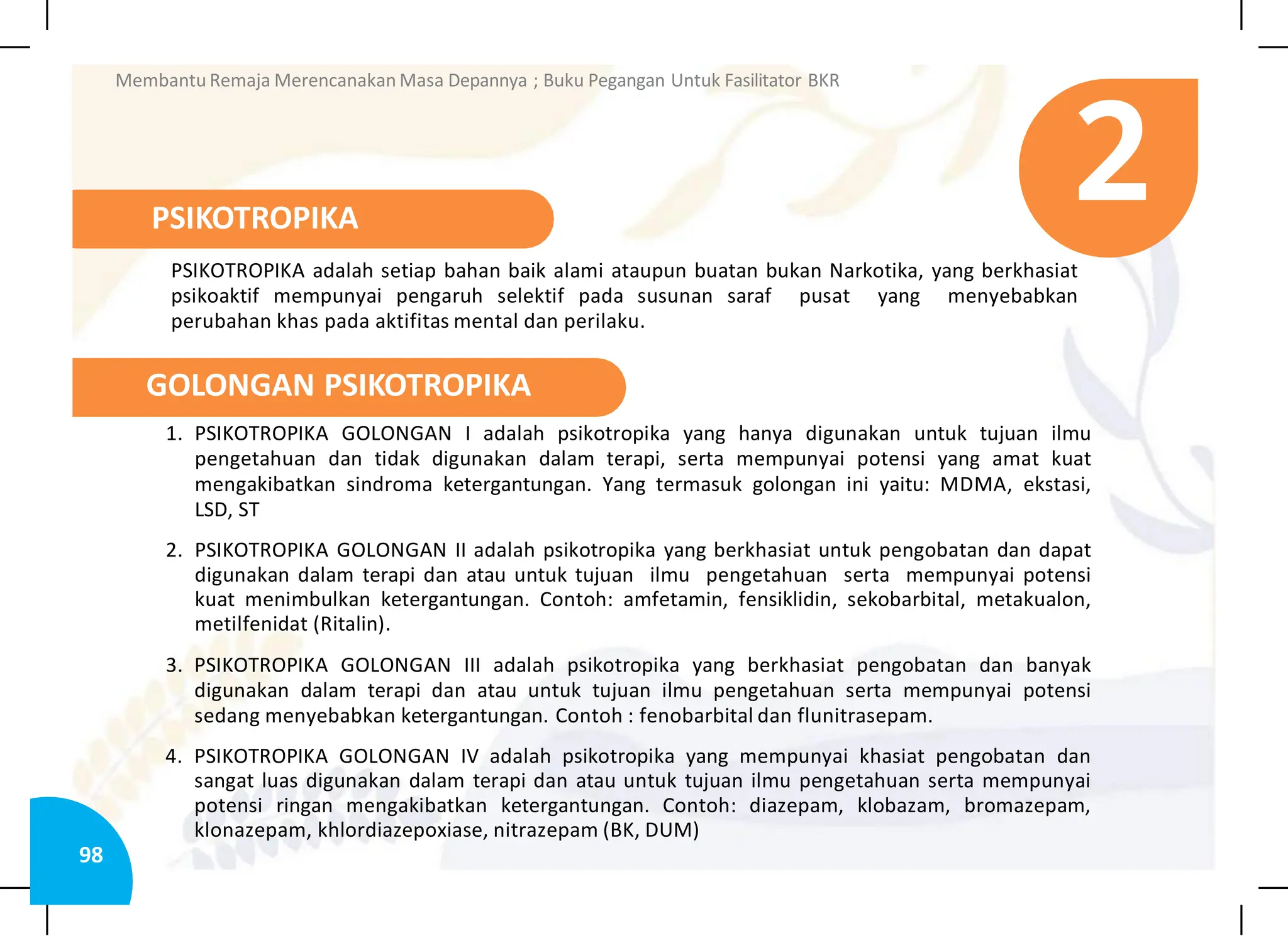 PERILAKU BERISIKO PADA REMAJA BKKBN 1.pdf