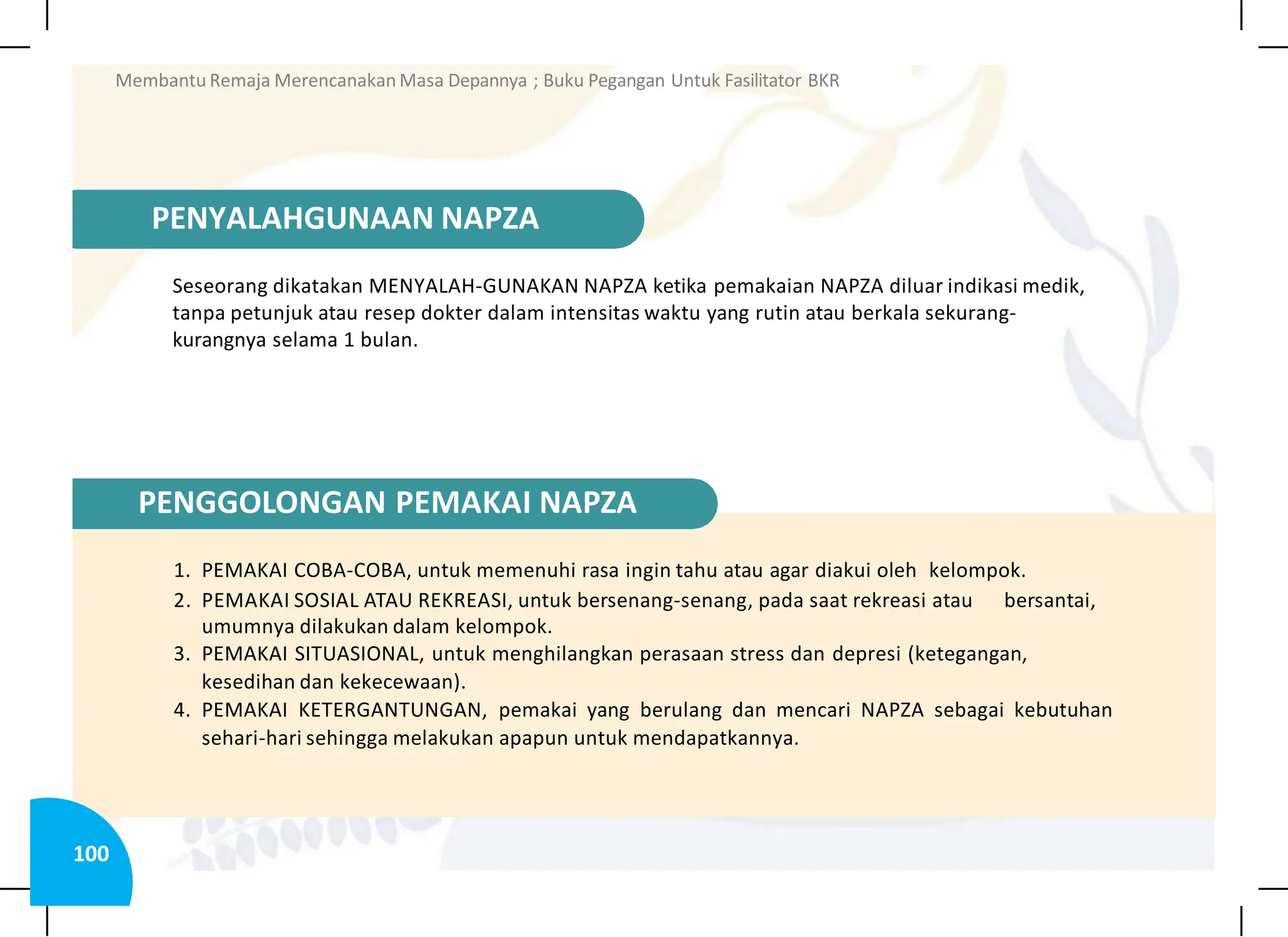 PERILAKU BERISIKO PADA REMAJA BKKBN 1.pdf