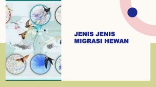 PERILAKU MIGRASI DAN KOMUNIKASI HEWAN.pptx