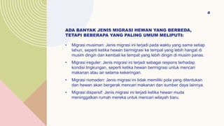 PERILAKU MIGRASI DAN KOMUNIKASI HEWAN.pptx