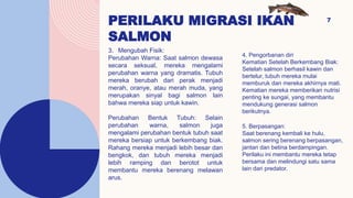 PERILAKU MIGRASI DAN KOMUNIKASI HEWAN.pptx