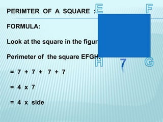 Perimeter | PPTX | Physics | Science
