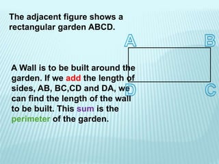 Perimeter | PPTX | Physics | Science
