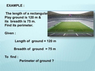Perimeter | PPTX | Physics | Science
