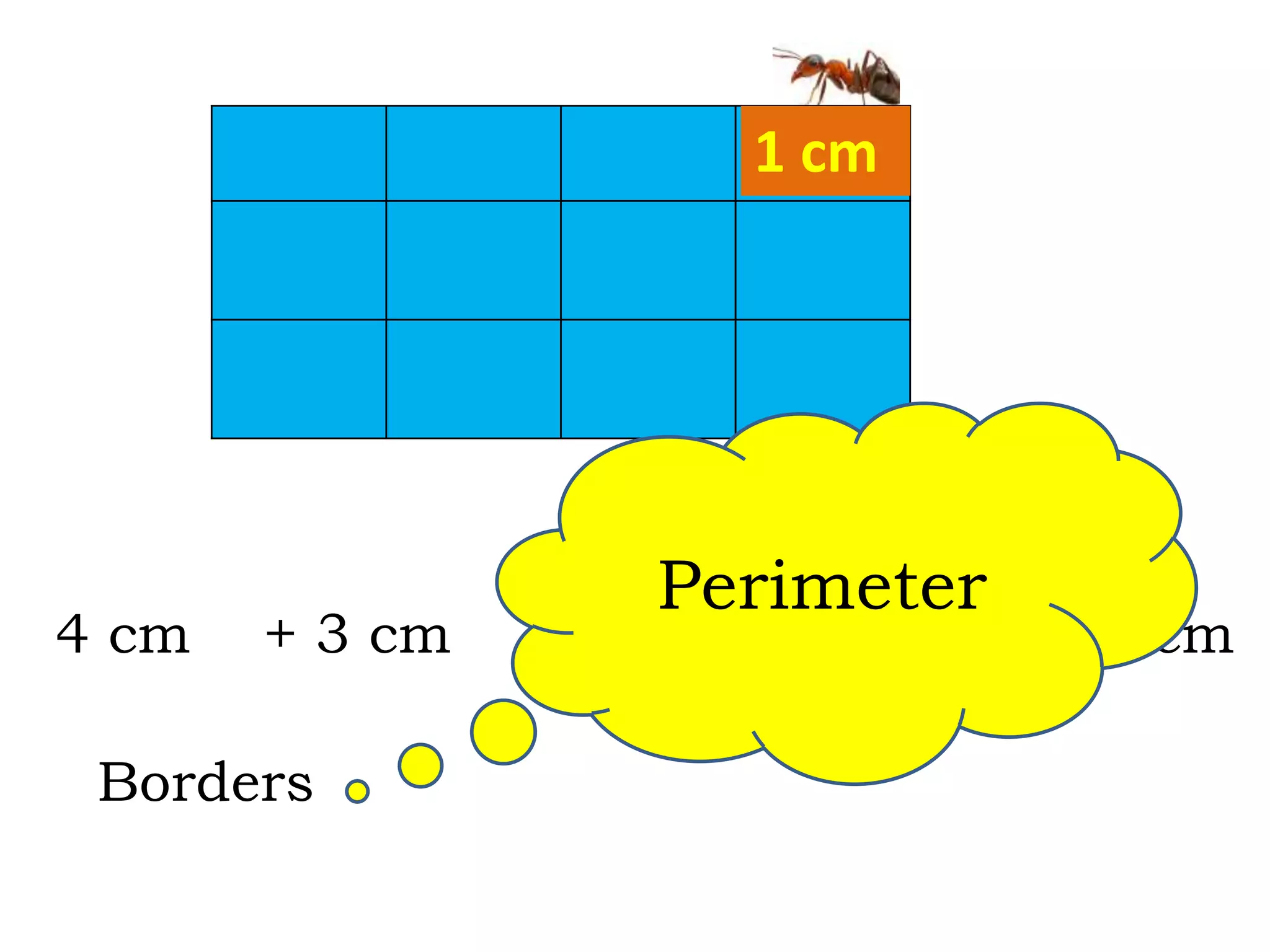 Perimeter | PPT