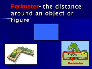 Perimeter and area | PPT