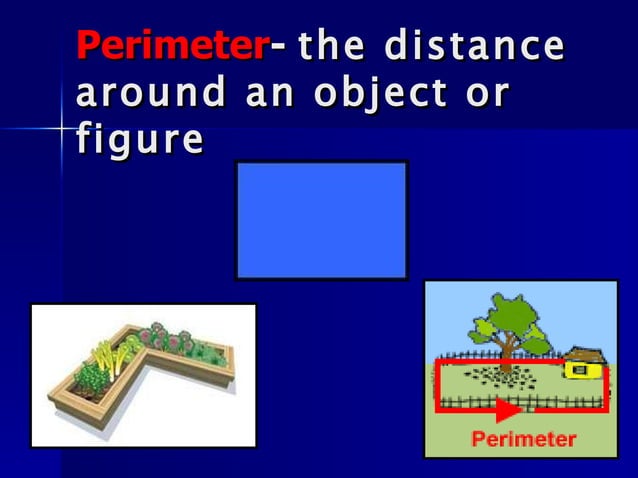 Perimeter and area | PPT