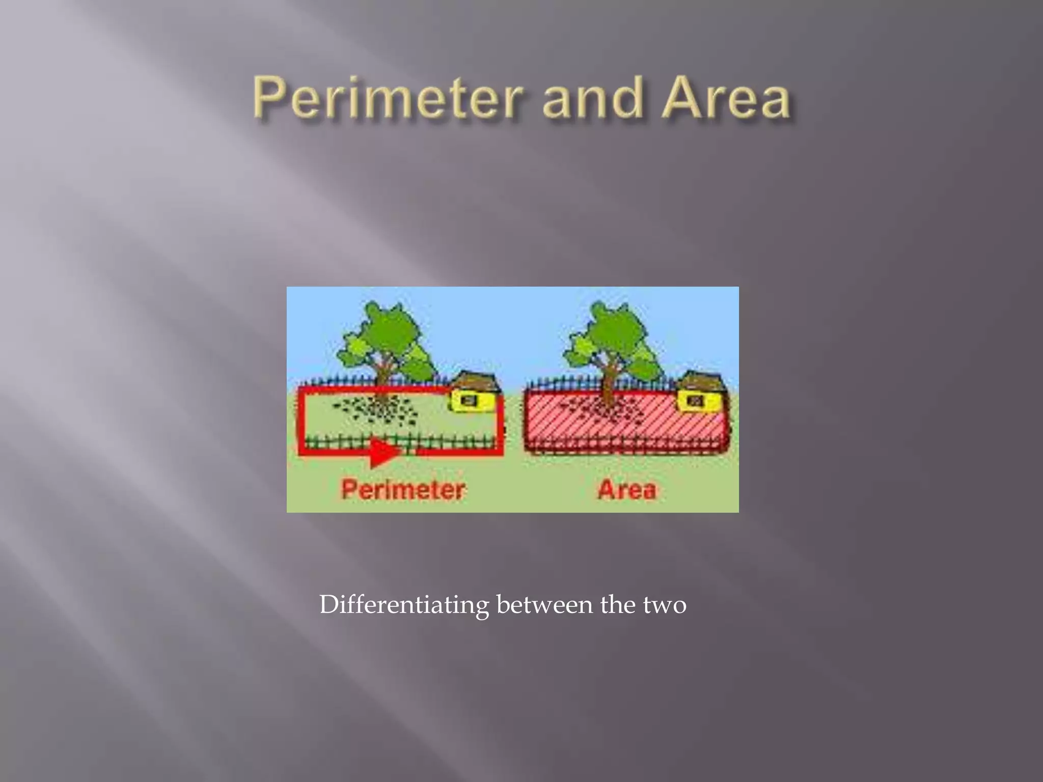 Perimeter and area | PPTX