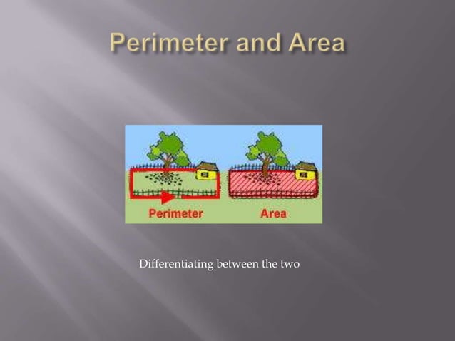 Perimeter and area | PPTX | Physics | Science