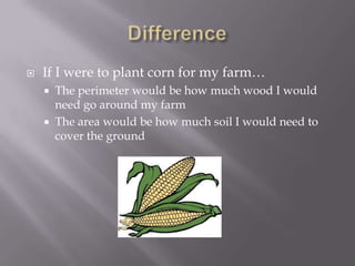 Perimeter and area | PPTX