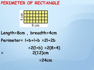 Perimeter and area 1 | PPTX